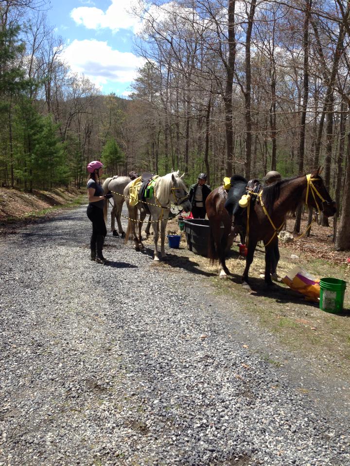 Hold trough – Eastern Competitive Trail Ride Association